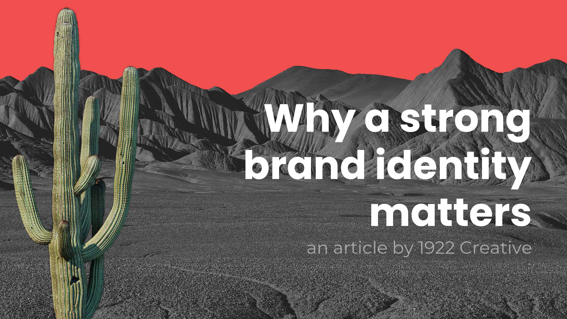 Why a Strong Brand Identity Matters - 1922 Creative